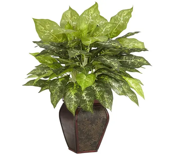 NEARLY NATURAL Dieffenbachia With Vase By - One-color