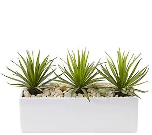 NEARLY NATURAL Mini Agave In Rectangular Ceramic Planter Ne Arly Natural - One-color