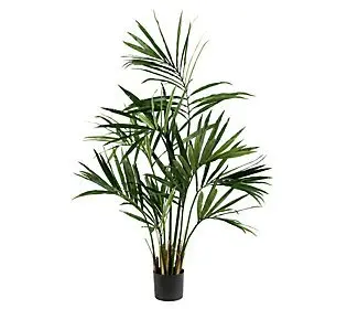 NEARLY NATURAL 5' Kentia Palm Silk Tree By - One-color
