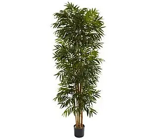 NEARLY NATURAL 7.5' Phoenix Palm Tree By - One-color