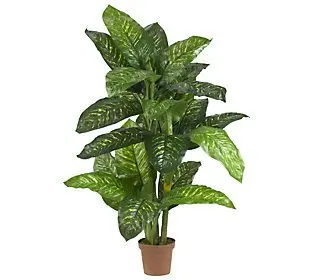 NEARLY NATURAL 5' Dieffenbachia Silk Plant By - One-color