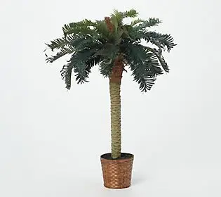 NEARLY NATURAL 4' Sago Palm Tree By - One-color