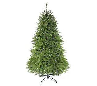 NORTHLIGHT Pre-lit Northern Pine Full Christmas Tree - One-color
