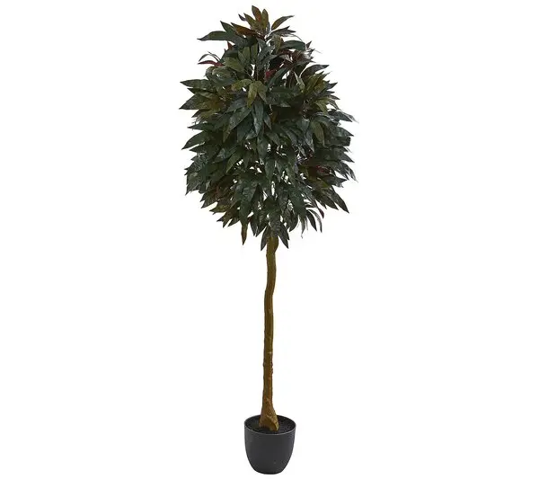 NEARLY NATURAL 6' Artificial Red Mango Leaf Tree Nearly Nat Ural - One-color