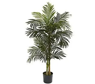 NEARLY NATURAL 5' Golden Cane Palm Silk Tree By - One-color