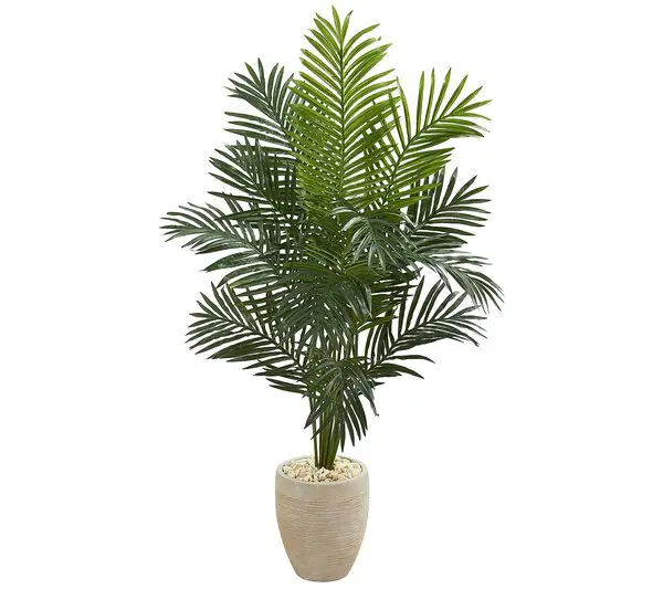 NEARLY NATURAL 5.5' Paradise Palm Tree In Planter Nearly Na Tural - One-color