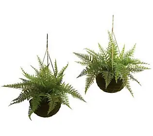 NEARLY NATURAL Leather Fern Mossy Hanging Basket Set Of 2 N Early Natural - One-color