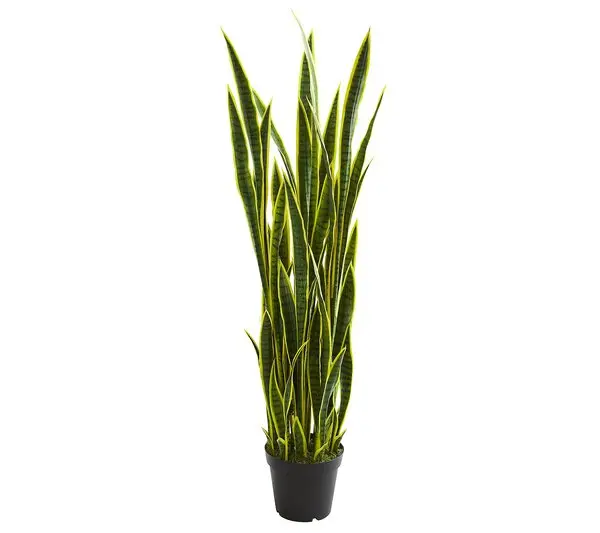 NEARLY NATURAL 5' Sansevieria Artificial Plant By - One-color