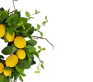NORTHLIGHT Lemons And Assorted Foliage Spring Wreath Yell Ow And Green