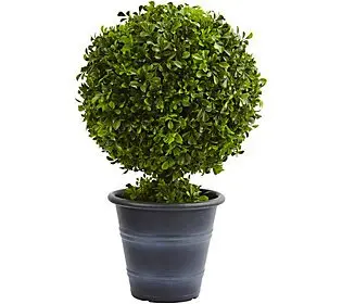 NEARLY NATURAL 23' Boxwood Ball Topiary By - One-color