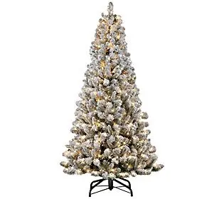 PULEO INTERNATIONAL 6.5' Prelit Flocked Vermont Christmas Tree 300 Lear Lights - One-color