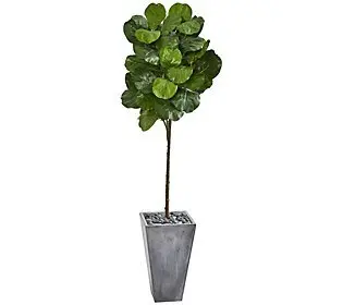NEARLY NATURAL 75' Fiddle Leaf Tree In Cement Planter Nearl Y Natural - One-color