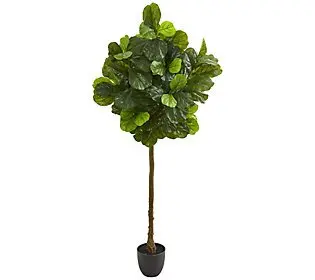 NEARLY NATURAL 6' Fiddle Leaf Tree Real Touch Nearly Natura L - One-color
