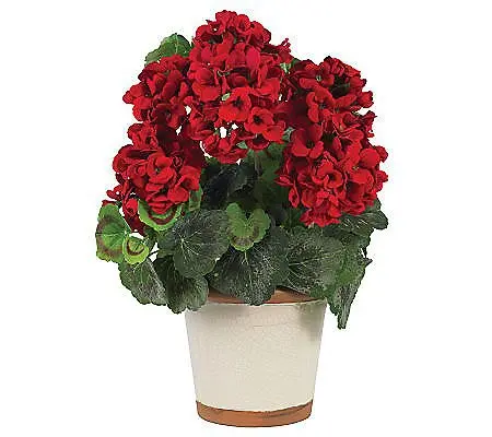NEARLY NATURAL Geranium Plant By - One-color