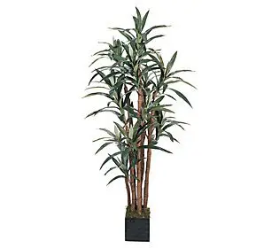 NEARLY NATURAL 5' Yucca Silk Tree By - One-color