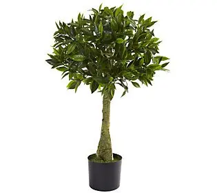 NEARLY NATURAL 3' Bay Leaf Topiary By - One-color