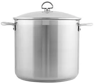 CHANTAL COOKWARE Chantal Induction 21 Steel Cookware 12-qt Stock Pot W/glass Li - One-color