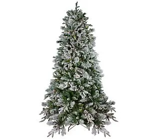 NORTHLIGHT 7.5' Mixed Colorado Pine Tree Warm C Lear Lights - One-color