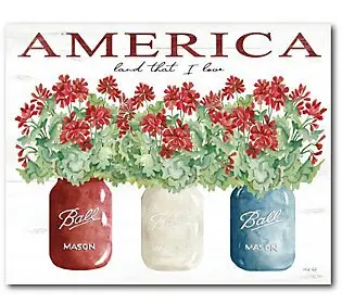 COURTSIDE MARKET America 18' X 26' Canvas - One-color
