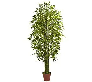 NEARLY NATURAL 7' Bamboo Tree By - One-color