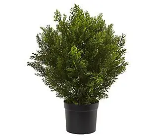 NEARLY NATURAL 2' Cedar Bush By