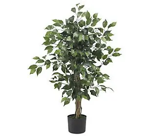 NEARLY NATURAL 3' Ficus Tree By - One-color
