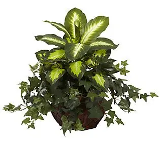 NEARLY NATURAL Dieffenbachia & Ivy W/decorative Planter - One-color