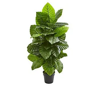 NEARLY NATURAL Taro Artificial Plant By