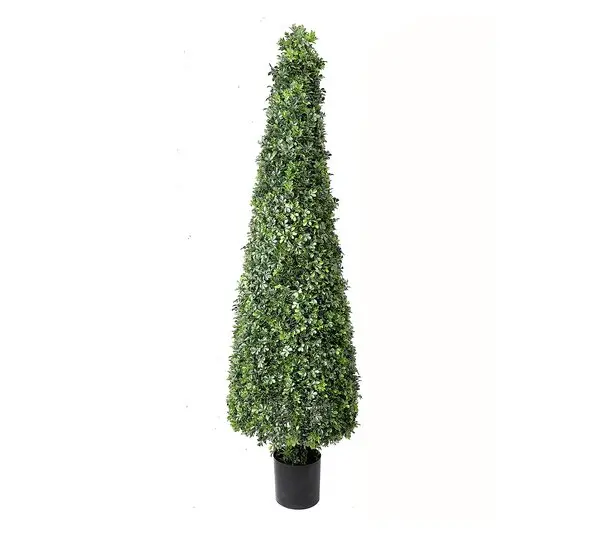 VALERIE PARR HILL 72' English Boxwood Cone Topiary Valerie - One-color