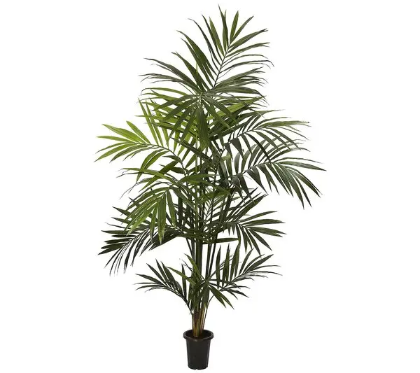 NEARLY NATURAL 7' Kentia Palm Silk Tree By - One-color