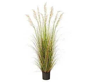 NEARLY NATURAL 5.5' Plum Grass Artificial Plant