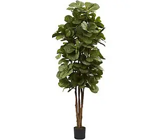 NEARLY NATURAL 6' Fiddle Leaf Fig Tree In Black Planter Nea Rly Natural - One-color