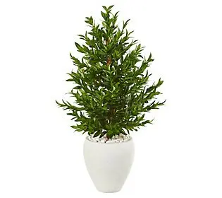 NEARLY NATURAL 3.5' Olive Cone Topiary In Planter Uv Resistant - One-color