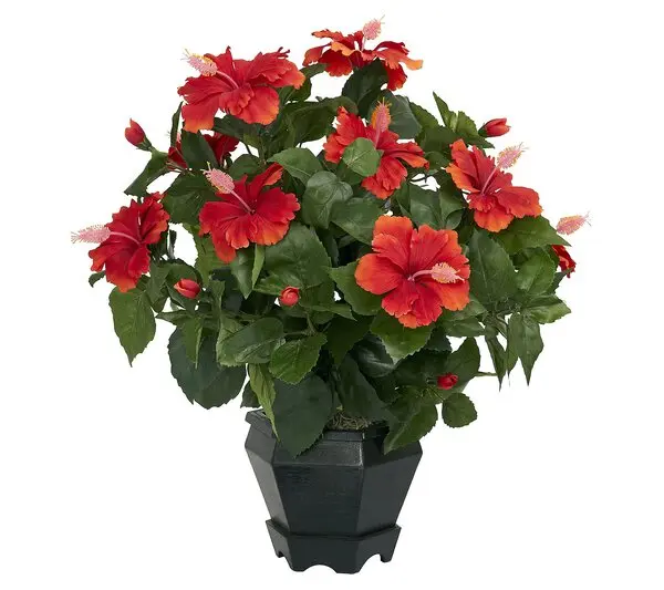 NEARLY NATURAL Hibiscus W/black Hexagon Vase Silk Plant - One-color