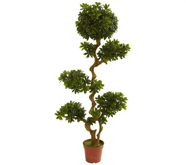 NEARLY NATURAL 5' Pittispourm Tree By - One-color