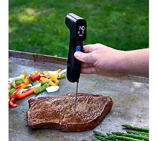 RAZOR Digital Infrared Thermometer With Food Pr Obe
