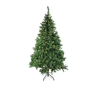 NORTHLIGHT 6' Mixed Classic Pine Xmas Tree Cl Ar Led Lights - One-color