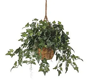 NEARLY NATURAL English Ivy Hanging Basket Silk Plant By - One-color