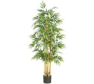 NEARLY NATURAL 64' Bamboo Tree By - One-color