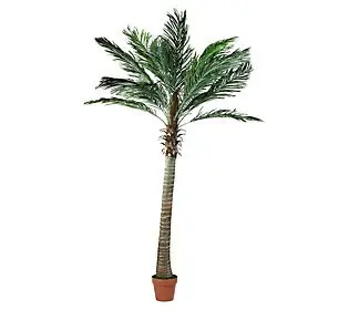 NORTHLIGHT 6' Potted Artificial Phoenix Palm Tr Ee - One-color