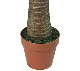 NORTHLIGHT 6' Potted Artificial Phoenix Palm Tr Ee