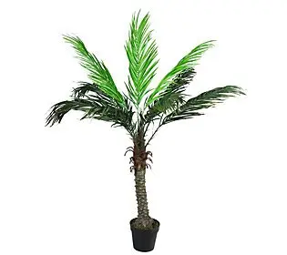 NORTHLIGHT Potted Brown And Green Phoenix Palm E - One-color
