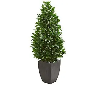 NEARLY NATURAL 56' Bay Leaf Cone Topiary In Black Planter N Early Natural - One-color