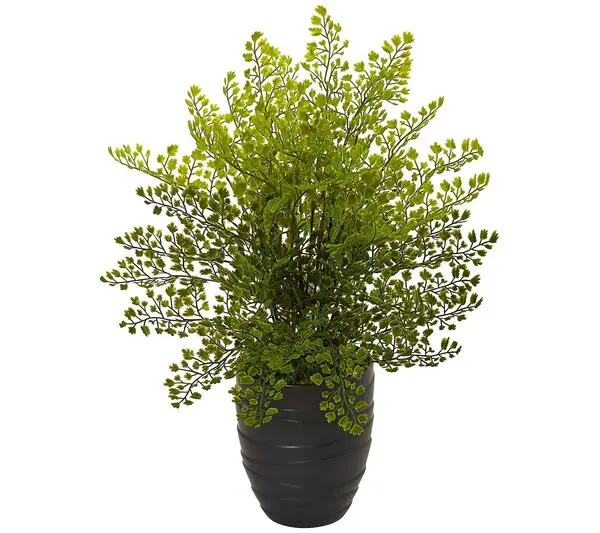 NEARLY NATURAL Maidenhair Plant In Black Ceramic Pot By - One-color