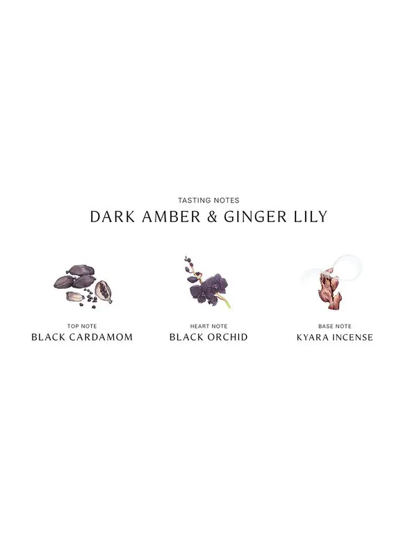 Jo Malone Dark Amber & Ginger Lily Cologne Intense