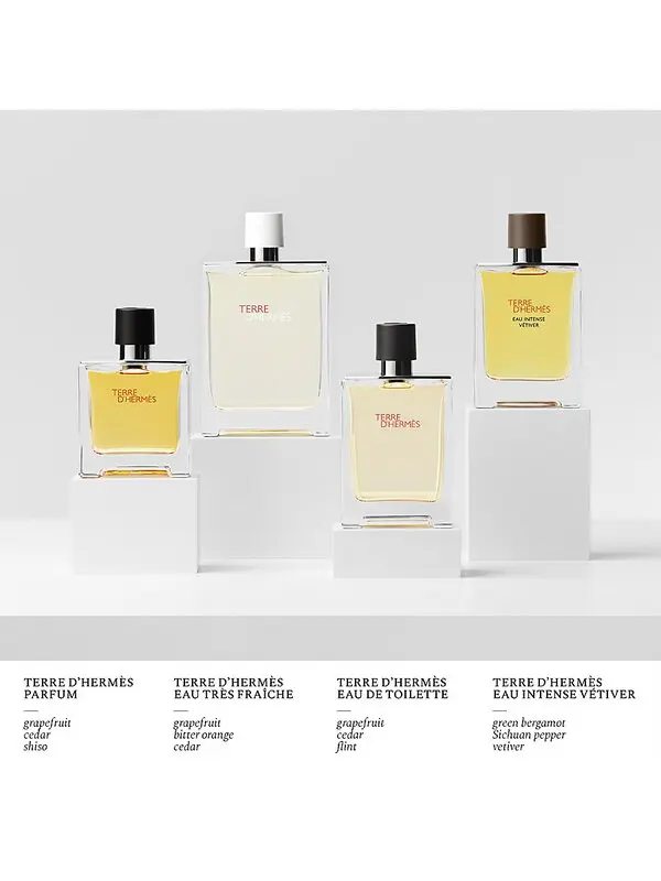 Hermès Terre D' Eau Intense Vetiver