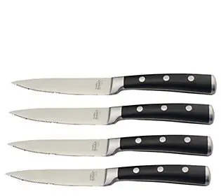 BERGHOFF Classico 4-piece Stainless Steel Steak Knife Set - Silver