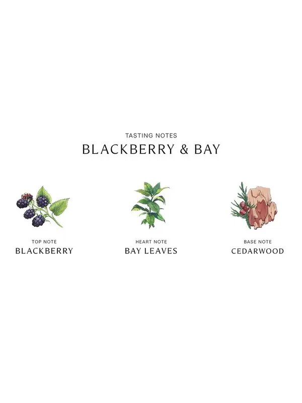 Jo Malone Blackberry & Bay Cologne