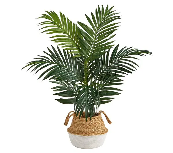 NEARLY NATURAL 4' Kentia Palm In Woven Planter Nearly Natur L - One-color