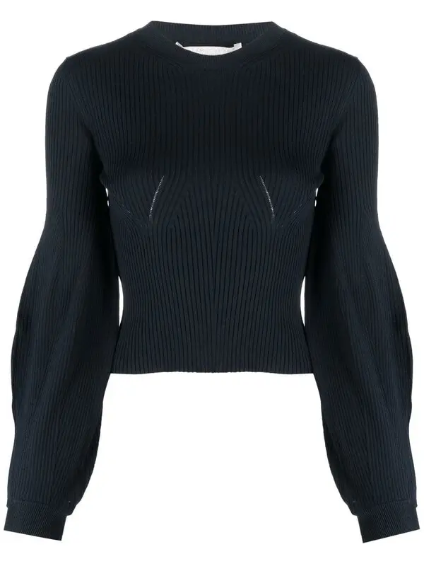 Stella McCartney Ribbed-knit Crewneck Jumper